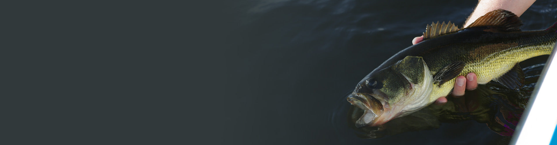 The Bass Tank: America's Experts in Marine Electronics